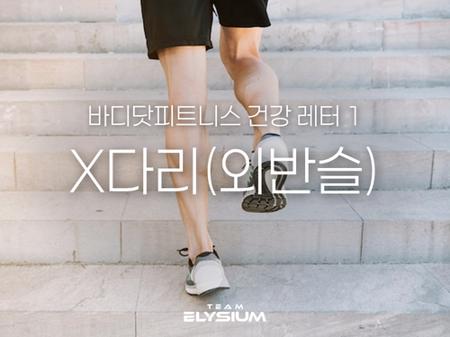 팀엘리시움 공식블로그 (2025)